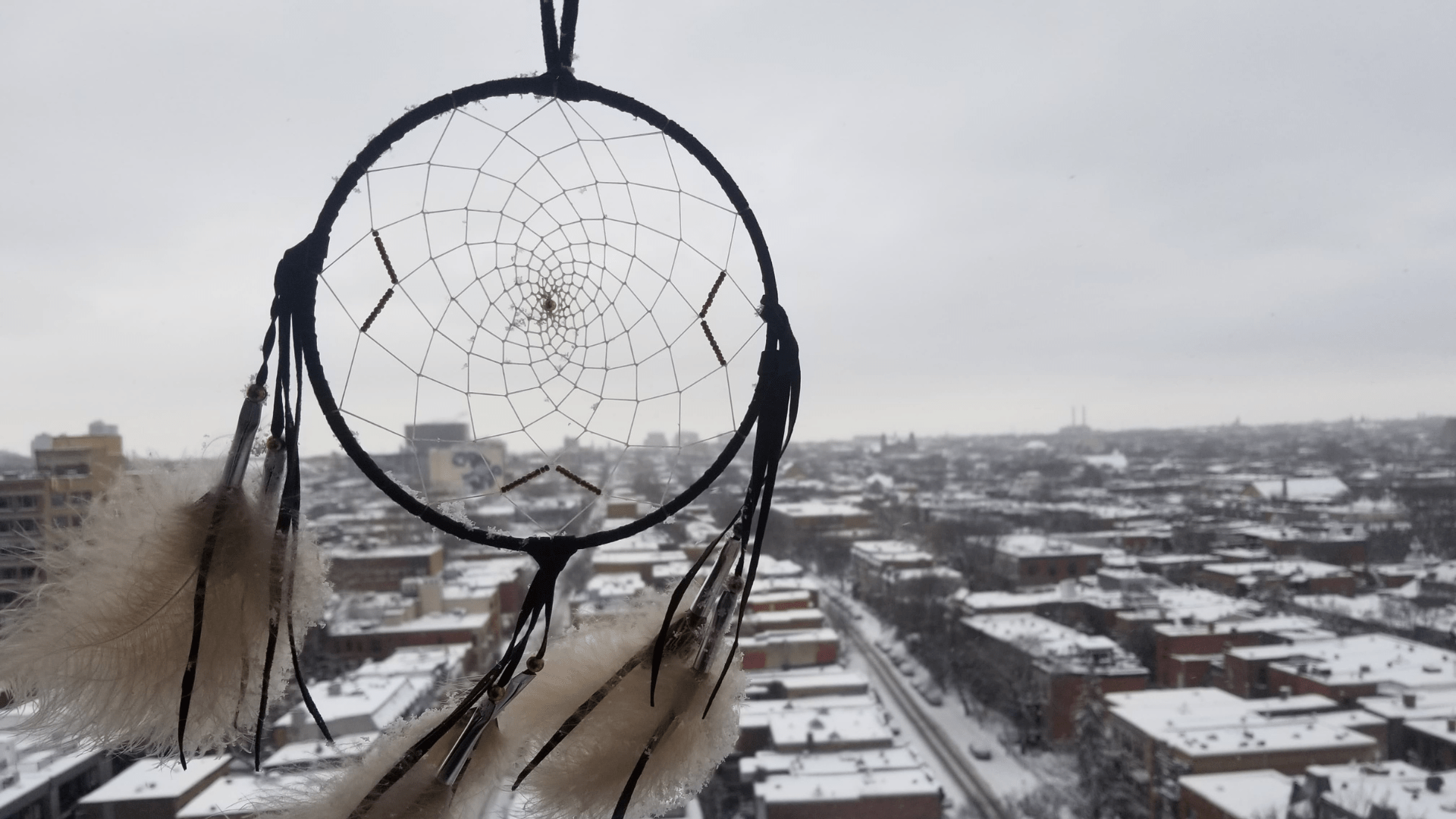 2020-2021 Reports - Montreal Indigenous Community NETWORK