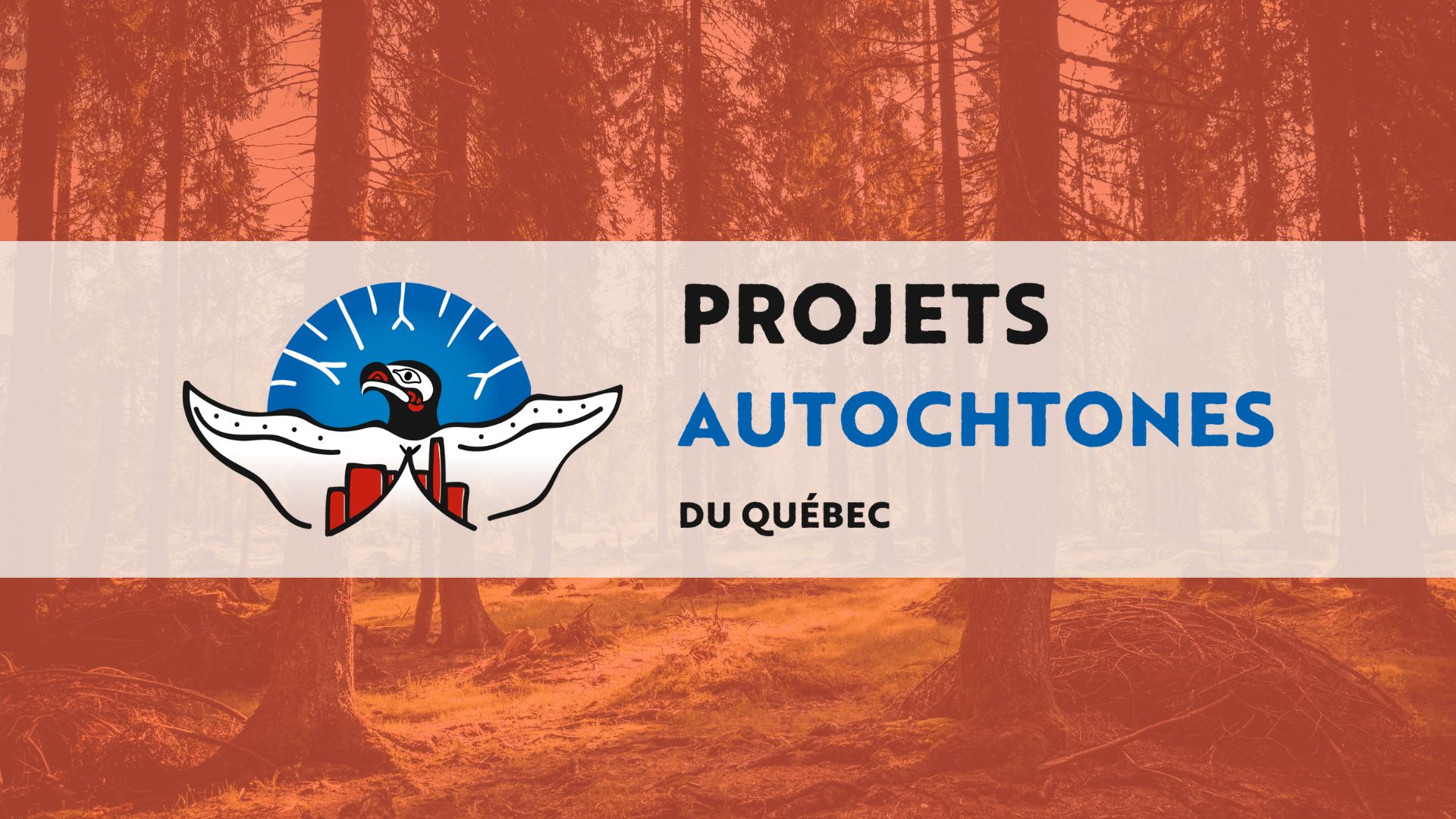 Appel de fin d'année de PAQ 2023 - RÉSEAU de la communauté autochtone à ...