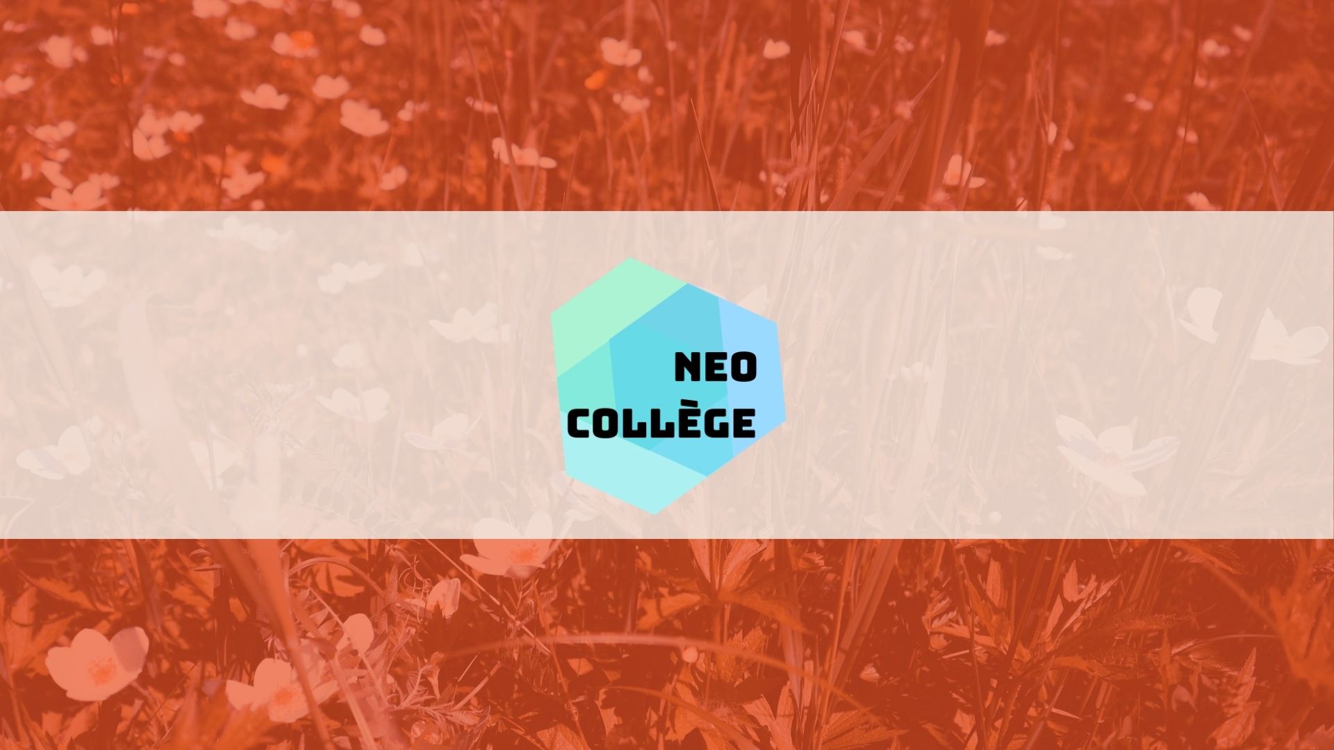 Indigenous Youth Resource Leader - Montreal Indigenous Community NETWORK